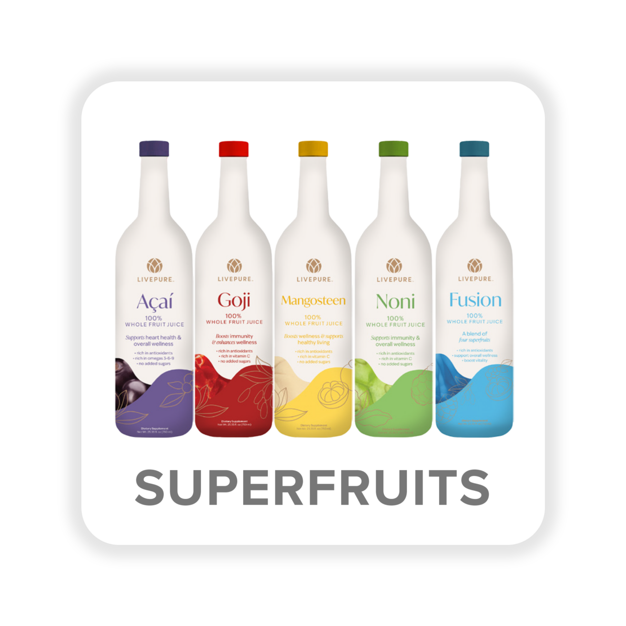Product | Pure Team Global